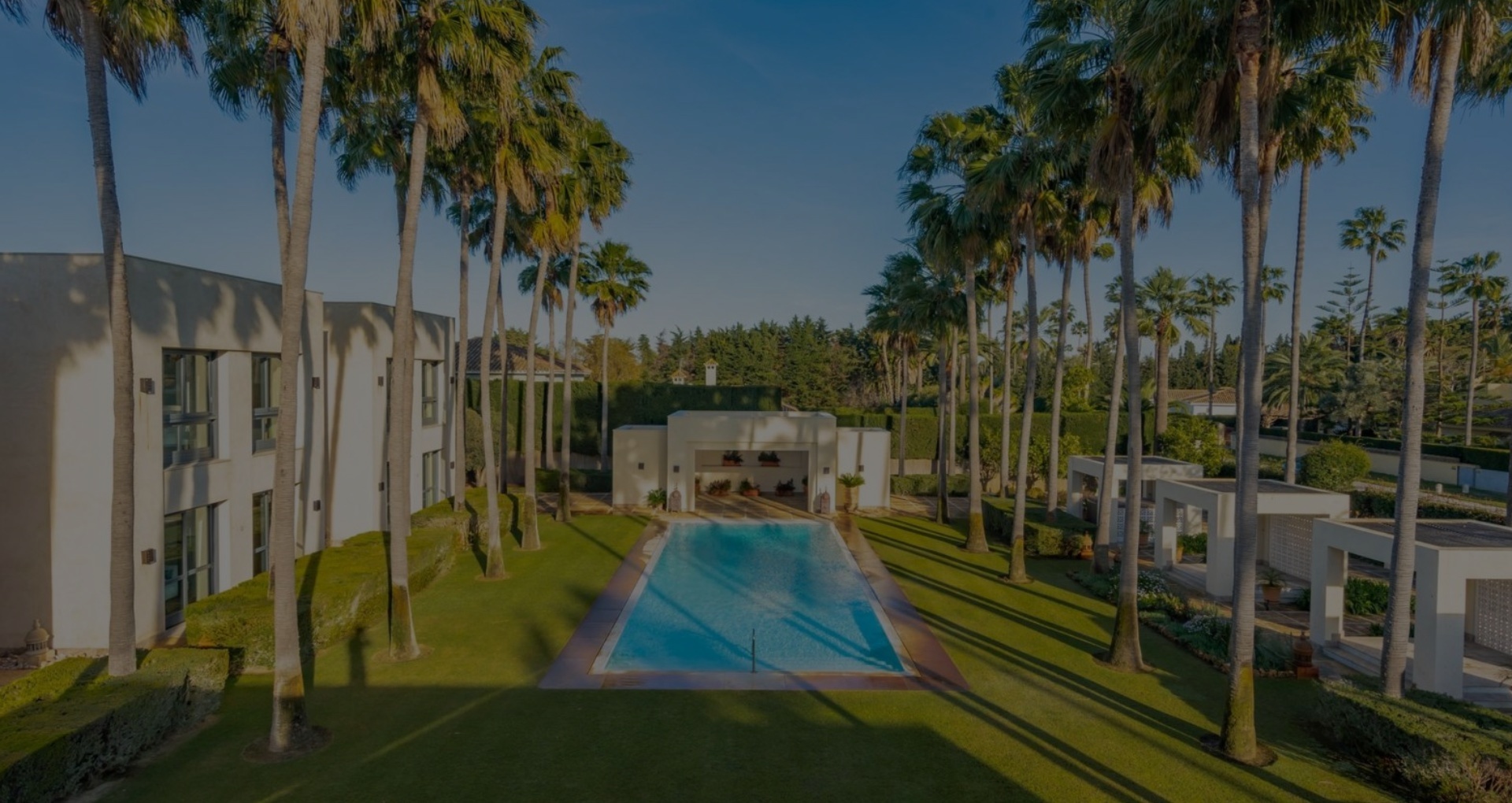 INICIO - Palmera Estate